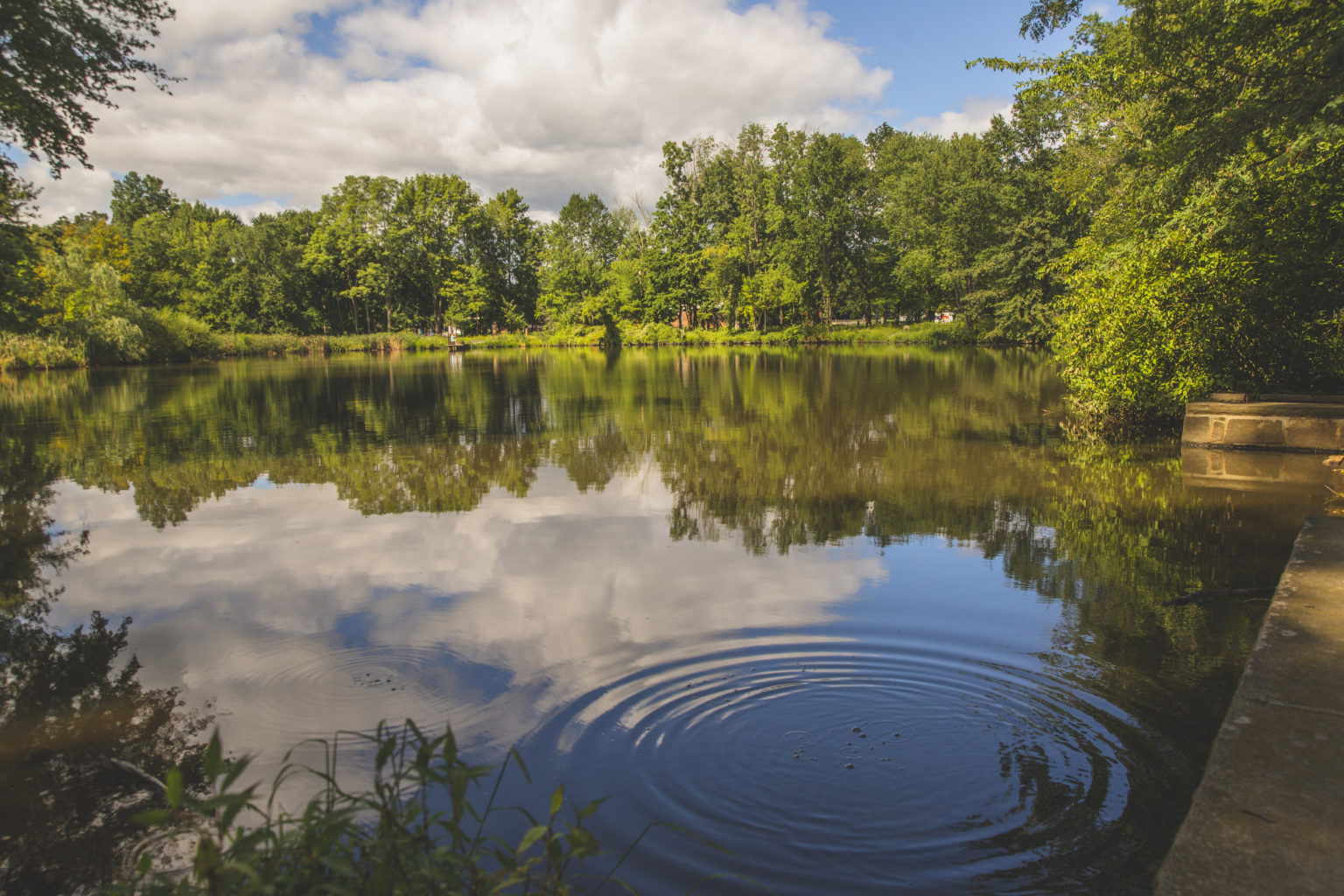 Morristown’s Foote’s Pond: Pond Restoration Brings Community Together ...