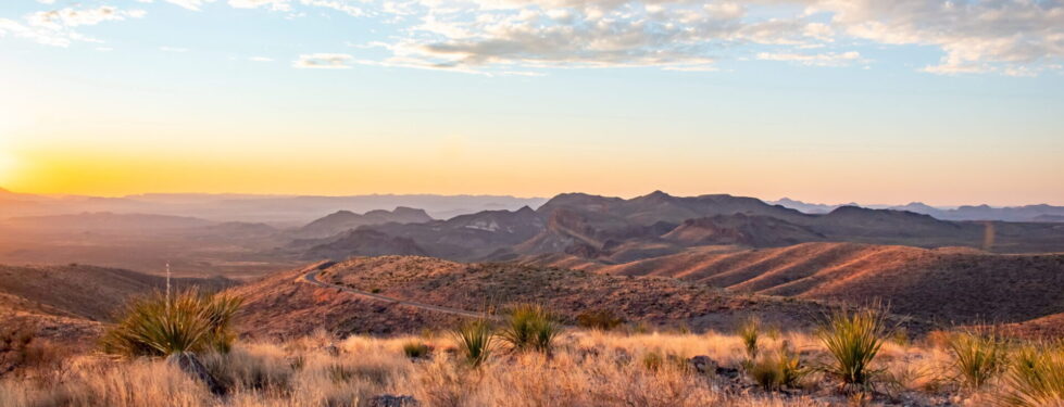 Resources - Colliers Engineering & Design